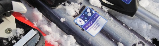 5 Traits To Look For In A Cold Weather Label | SheetLabels.com